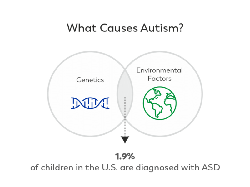 What Are the Different Types of Autism? Detailed 2025 Guide ...